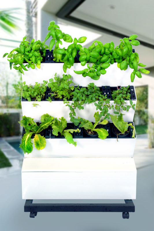 Portable Mini Hydroponic Growing Stand – SASA – Hydroponics Systems for ...