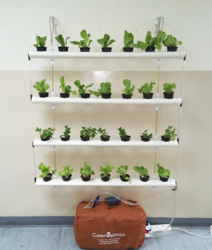 Hanging Hydroponic System For Balcony/Office – VERTE H1228 ...