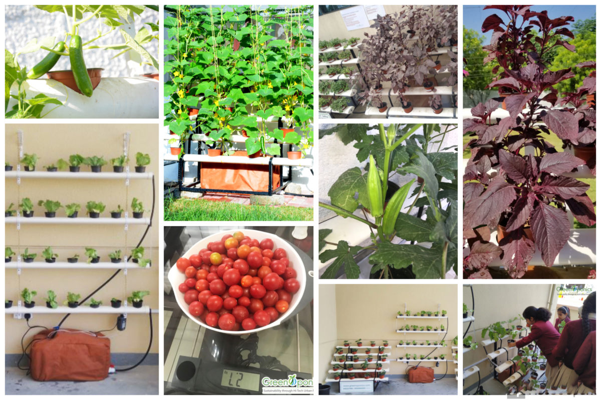 hydroponics-setup-for-schools – Hydroponics Systems for Home, School ...