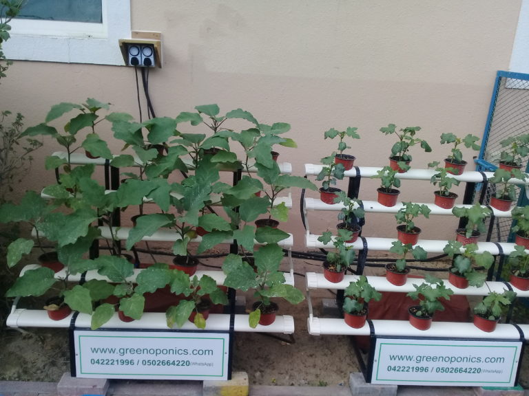 Hydroponics Systems For Schools – Hydroponics Systems for Home, School ...