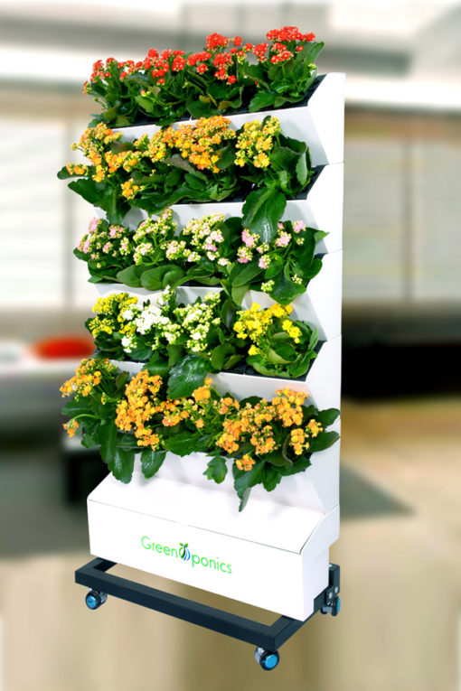 Hydroponics Systems For Office’s – Hydroponics Systems for Home, School ...