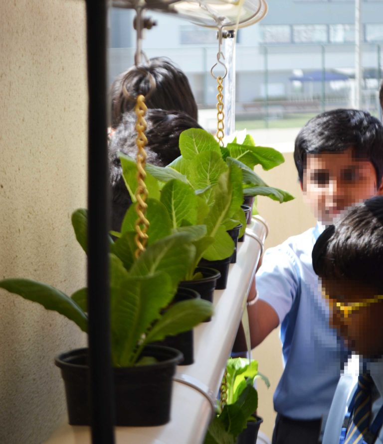 Hydroponics Systems For Schools – Hydroponics Systems for Home, School ...