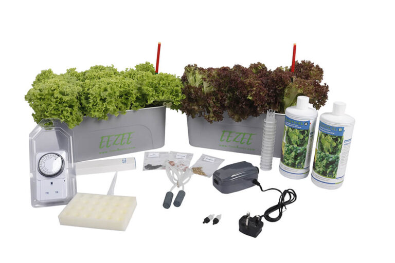 Hydroponic starter kit – EEZEE (2 boxes, 16 plants) – Hydroponics ...