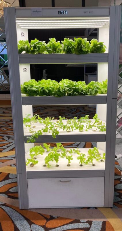 Hydroponics Almirah system – Small – Hydroponics Systems for Home ...