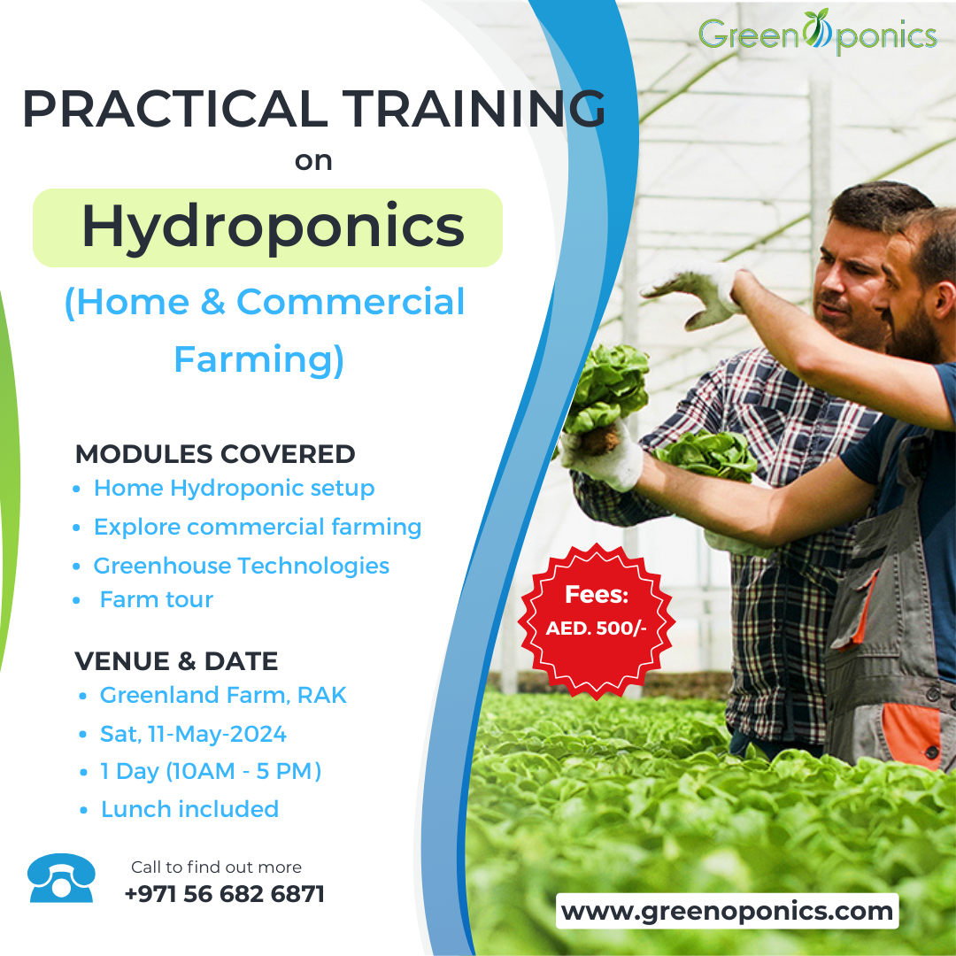 PRACTICAL TRAINING ON hydroponics farming – Hydroponics Systems for ...